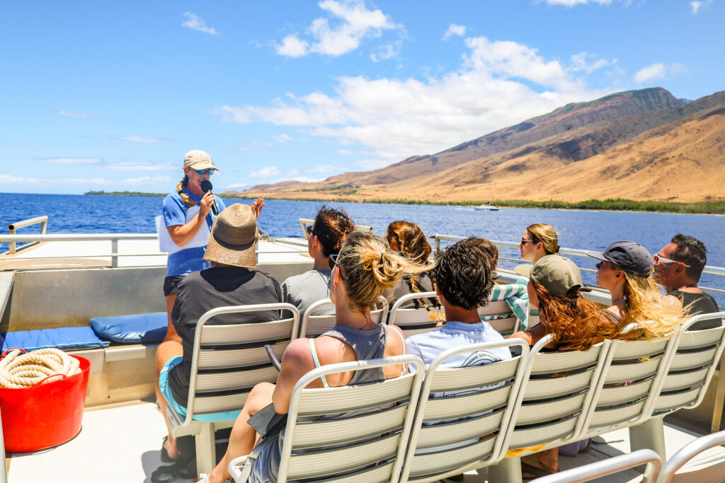Dive into “Sharks of the Reef” with PacWhale Eco-Adventures | Pacific ...