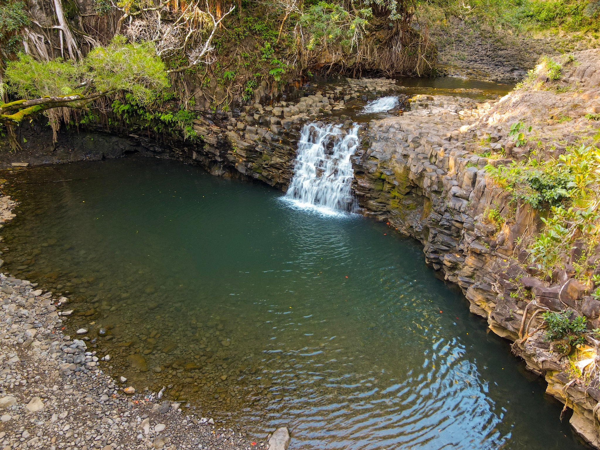 Pa’ia Town & Waterfall Hike | Pacific Whale Cruises